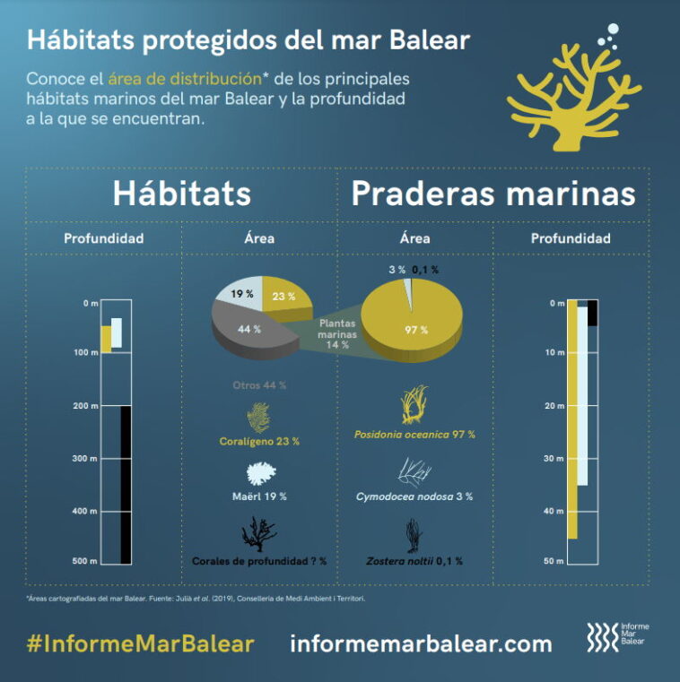 Hábitats protegidos – Informe Mar Balear